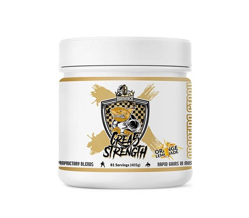 Hammer Labz | Bodyshock.pro